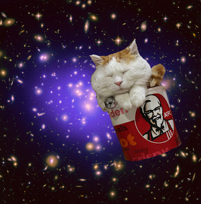 Space Memes: KFC Bucket Meal Cat in Space