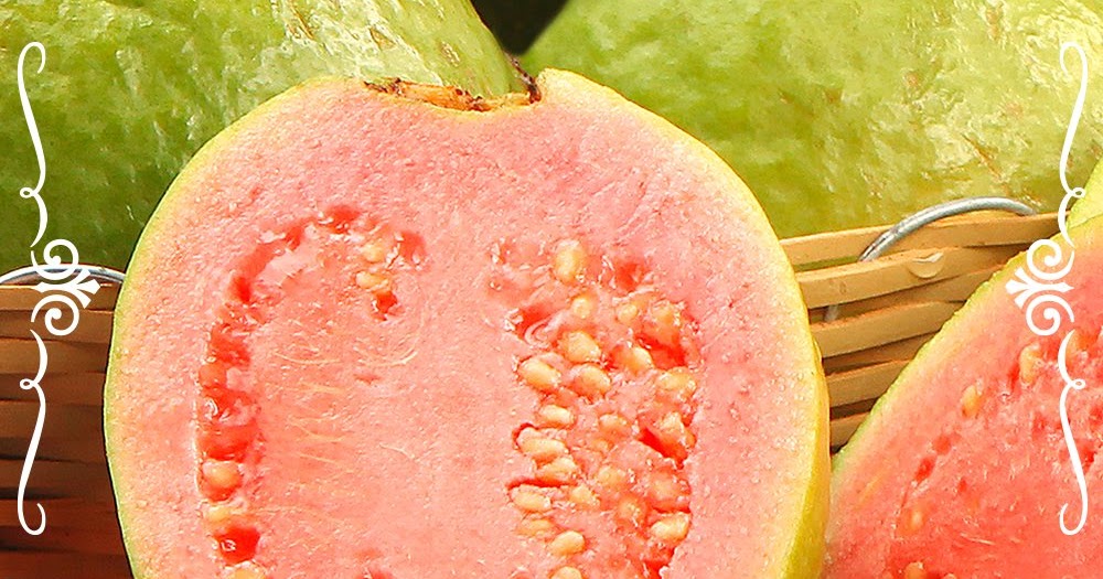 Goiaba Tailandesa como cultivar