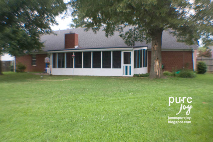 Trendy TreeHouse: DIY screened patio