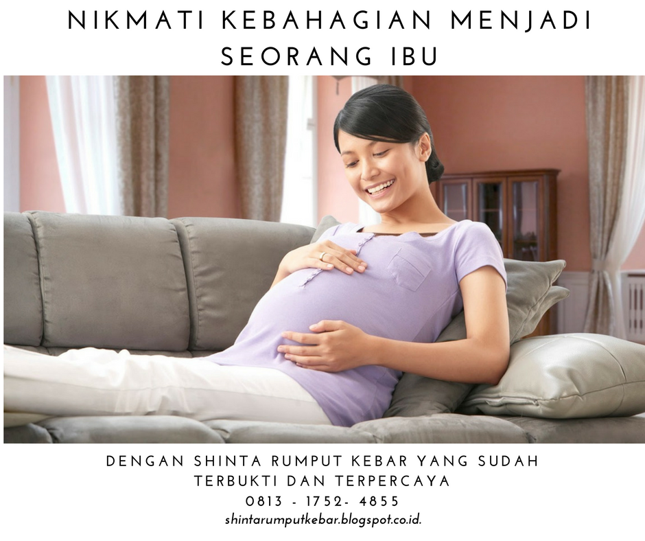 Jual Rumput Kebar Di Jakarta 0813-1752-4855 TERBUKTI Dan TERPERCAYA ...