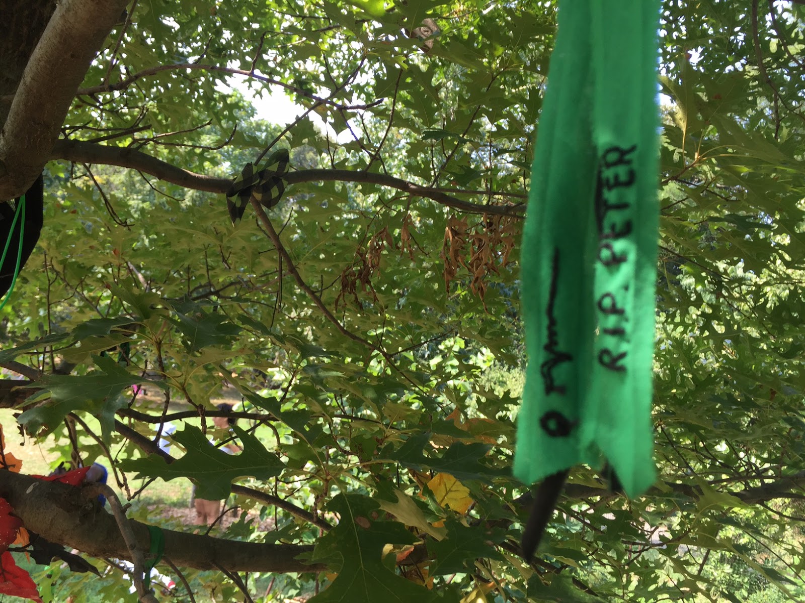 Dark Forces Swing Blind Punches: Brooklyn personified: On the genius of ...