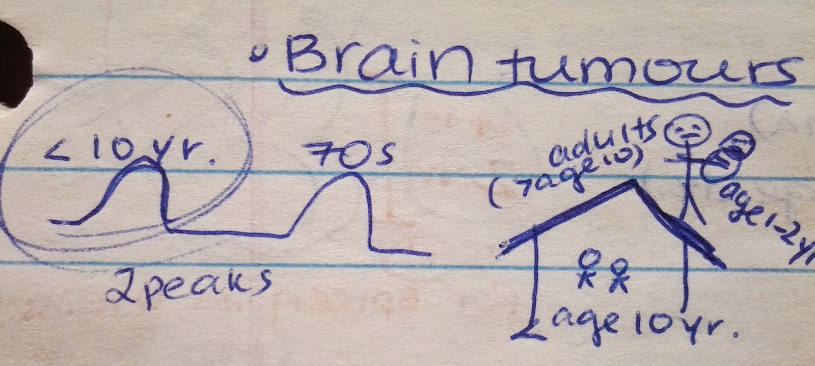 Winding Spiral Case: How To Study: Making Notes