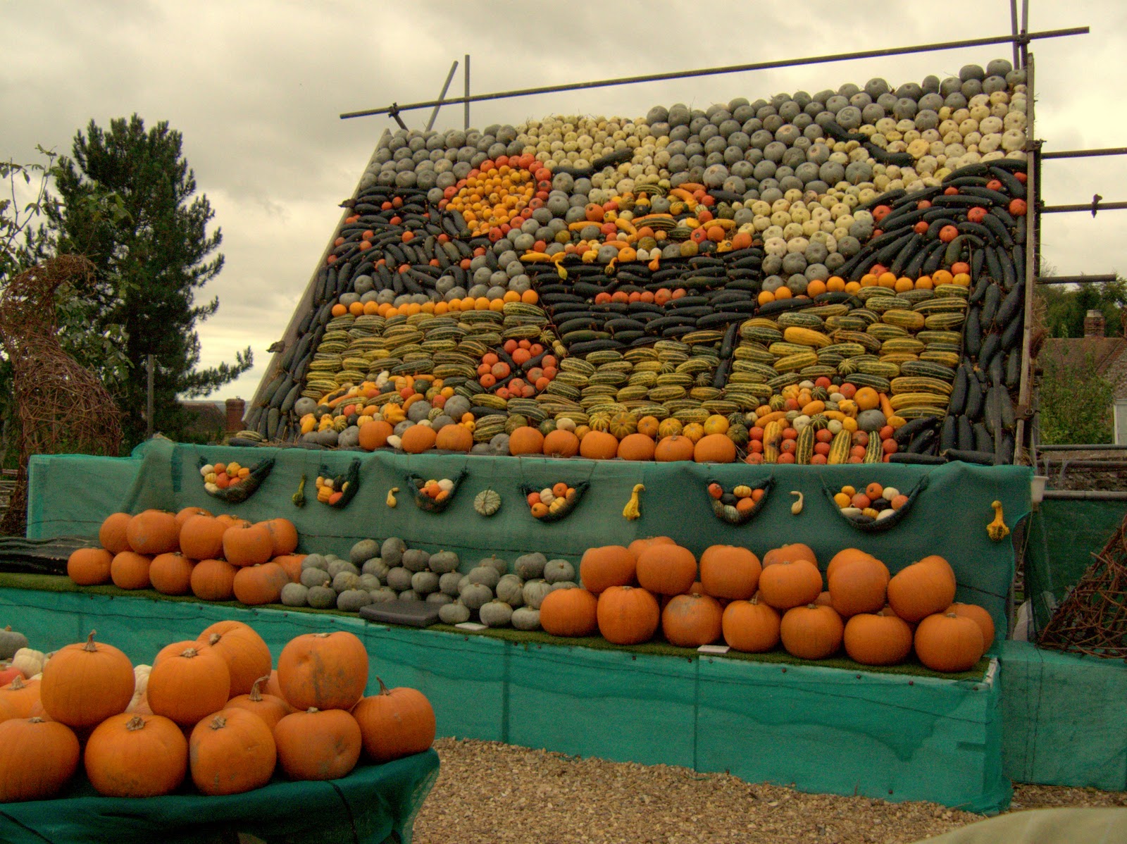 Peter Lovett's ramblings : Massive Pumpkins at Slindon Pumkins are well ...
