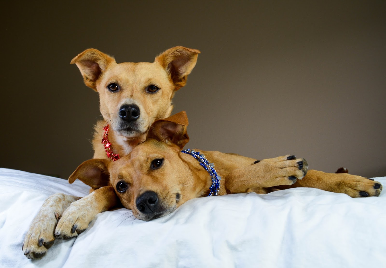 ZoePhee: Sisterly Love