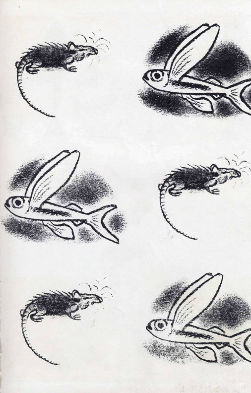 The Art of Children's Picture Books: Fish Head, Ilustrated by Marc Simont