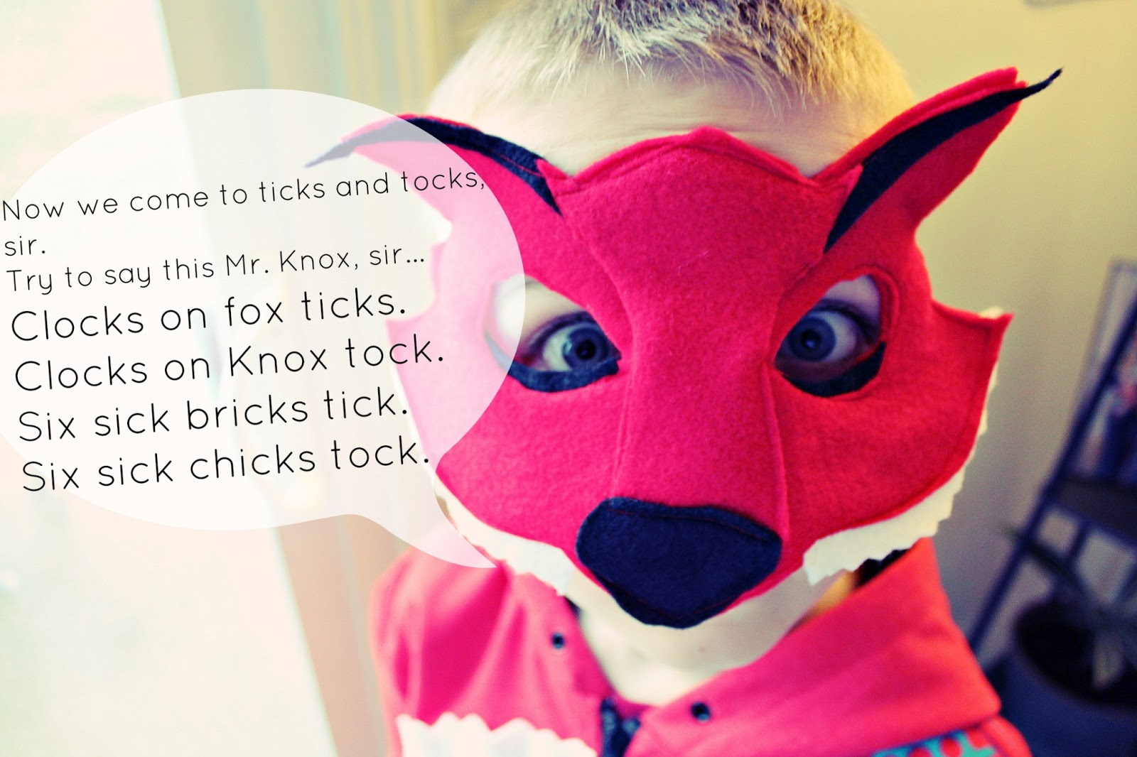 Freshly Completed: Fox in Socks