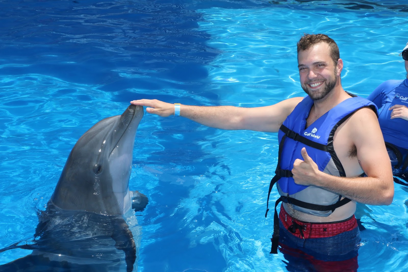 Life Where We Park It: Gulf Shores, Alabama - Swimming with Dolphins