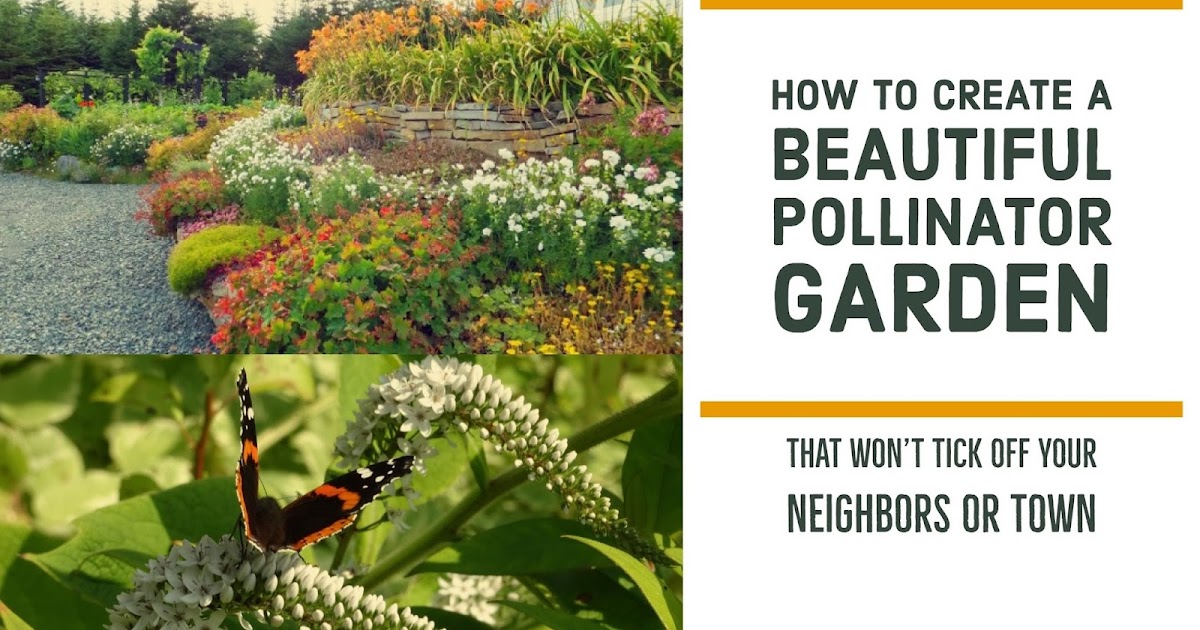 How To Create A Beautiful Pollinator Garden 🌼 That Won't Piss Off Your ...