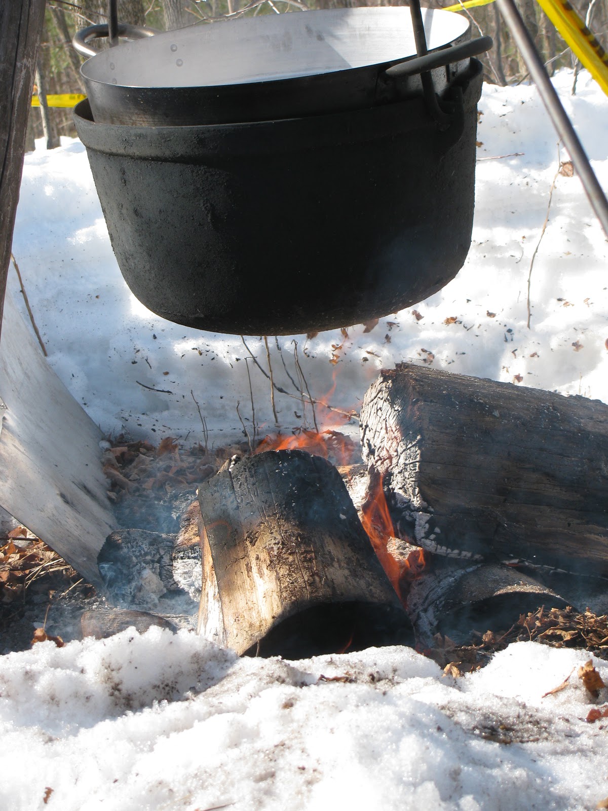 Tea for Two Sisters: Sugar bush during the March Break