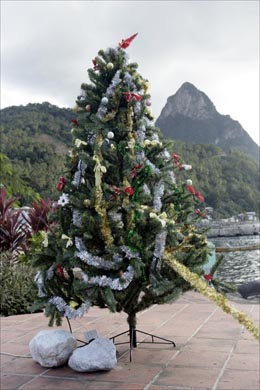 Miguel: Caribbean Christmas