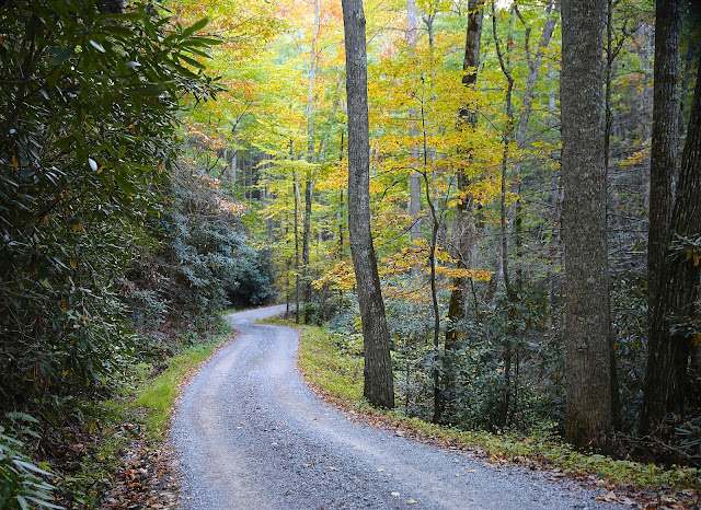Sweet Southern Days: Parson Branch Road In The Great Smoky Mountains ...