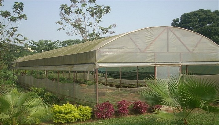 POLY HOUSE FARMING , PRECISION FARMING
