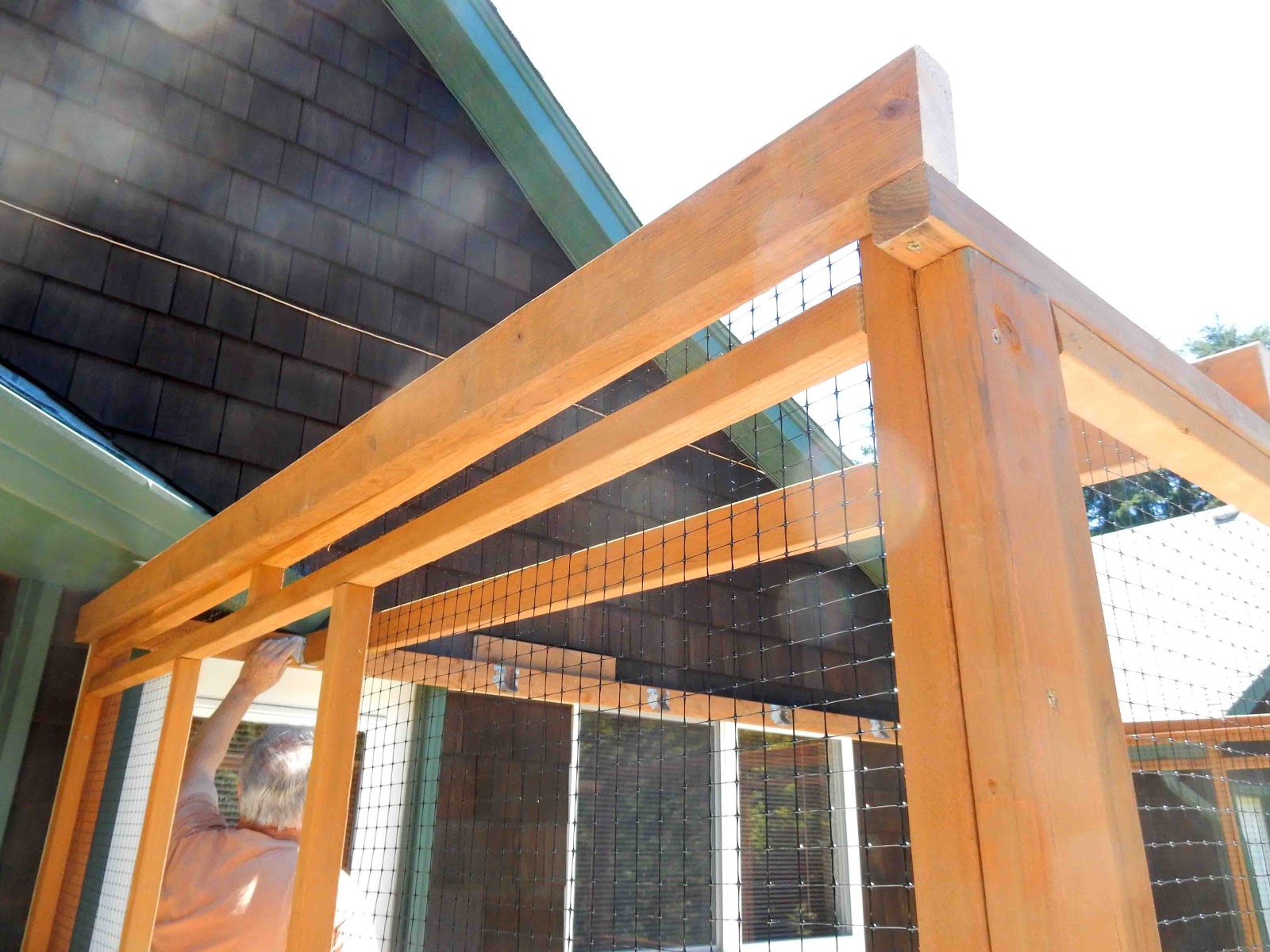 Cat Patches: Catio Construction Continues