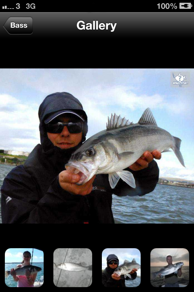 What Fish UK Smartphone App: Our Smart Phone App Now Includes Fish Recipes.