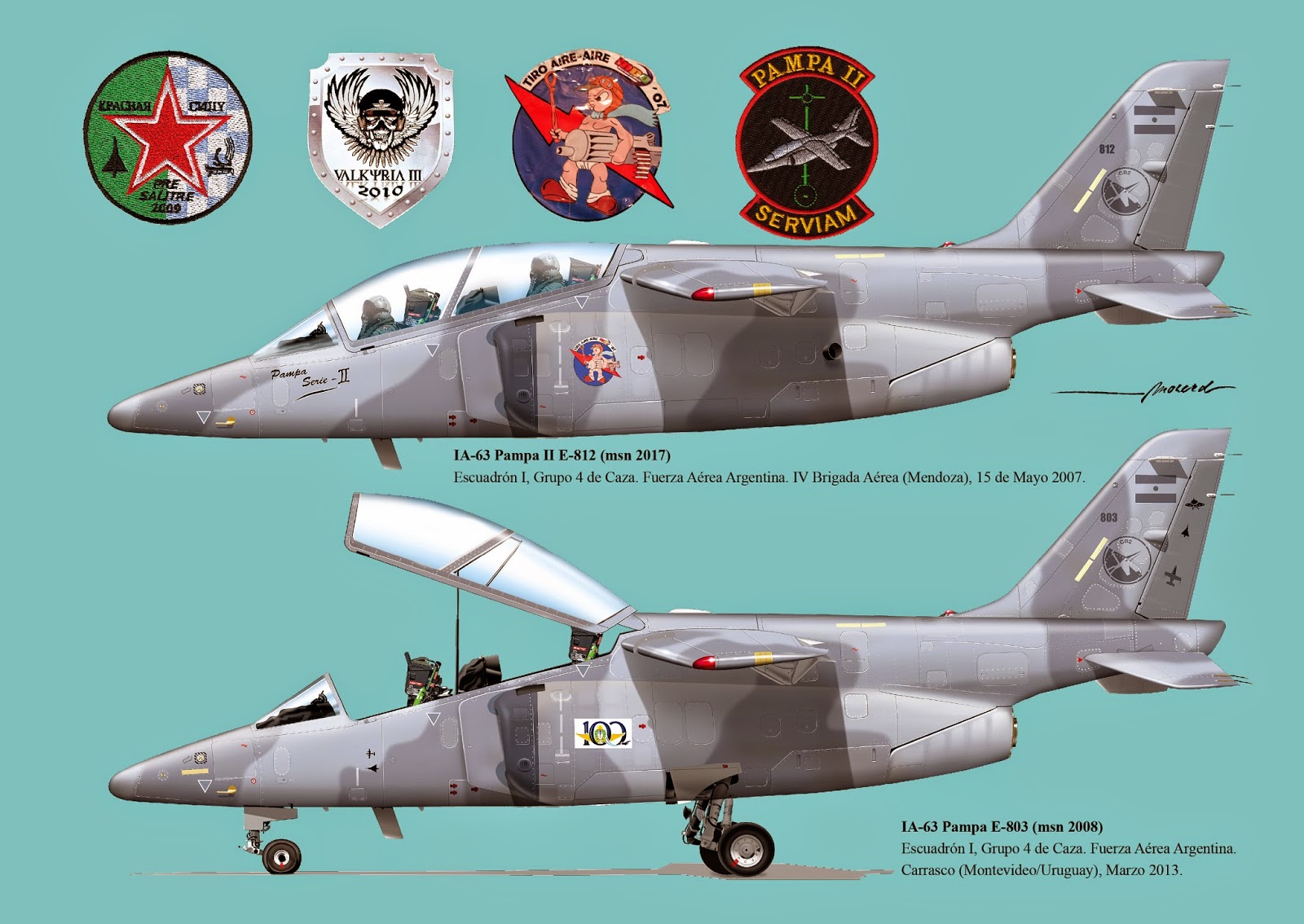 Nueva publicación sobre IA-63 Pampa