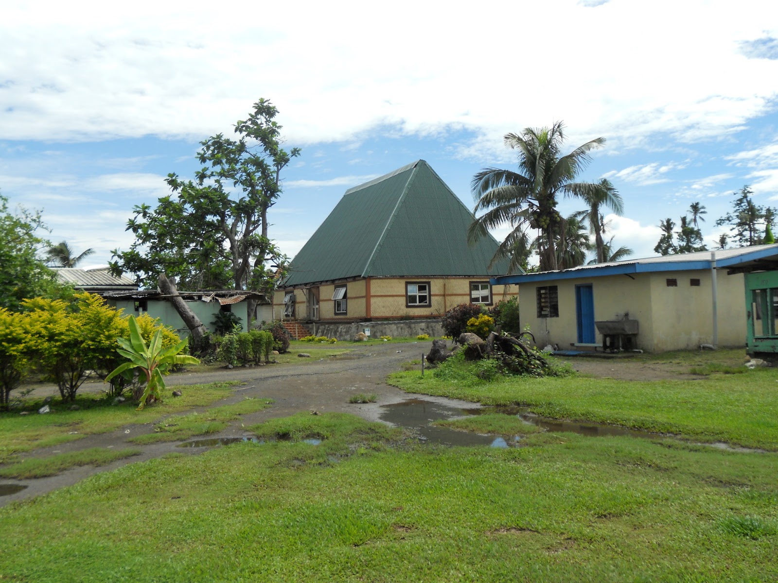 Diana in Fiji: Visiting the local village - Viseisei