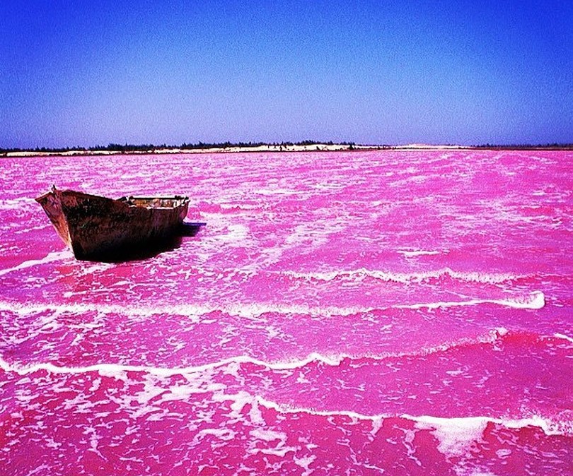 CONHEÇA O LAGO ROSA DA AUSTRÁLIA - Algumas Coisas