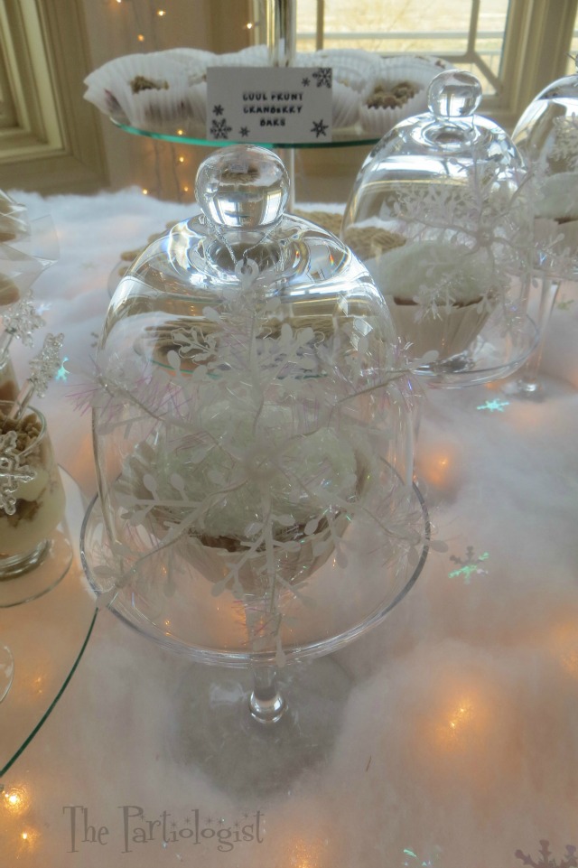 The Partiologist: Snowflake Party!