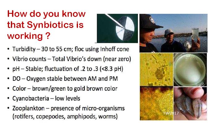 AQUACULTURE PRIMa: SYNBIOTICS - SYNERGI PREBIOTICS & PROBIOTICS