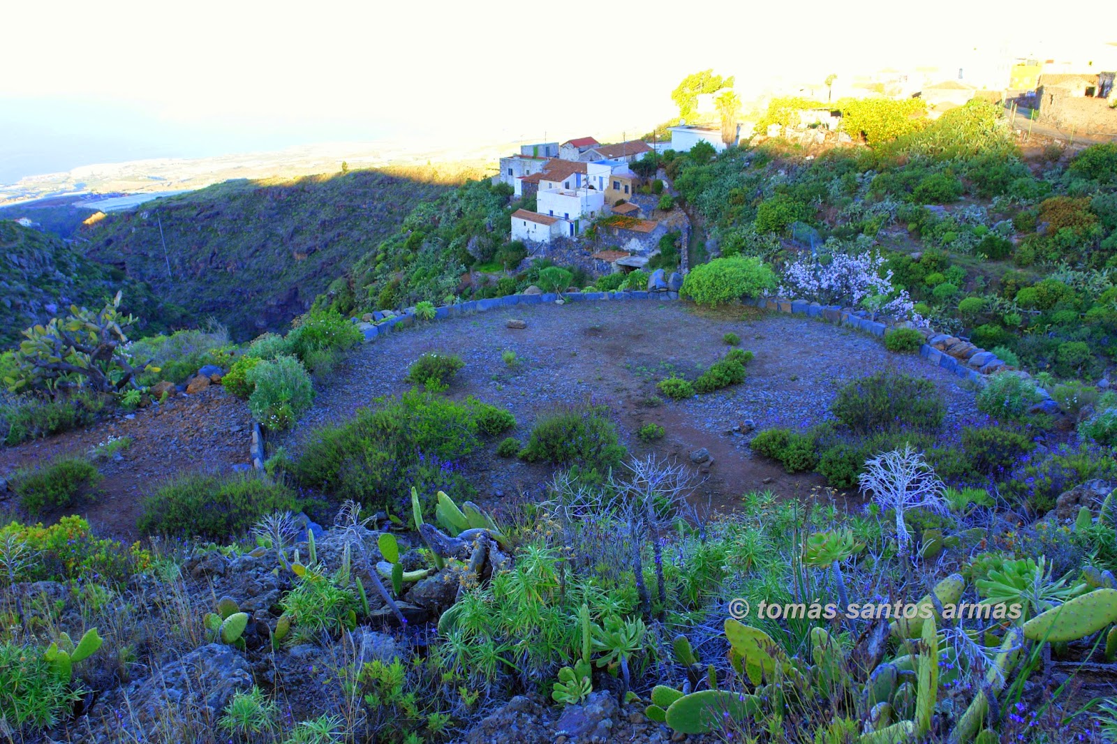 Tenerife senderos......: febrero 2015