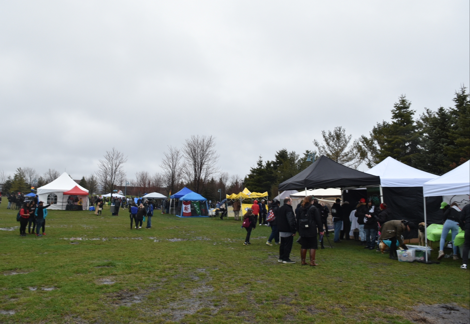 Toronto Grand Prix Tourist - A Toronto Blog: Toronto 420 Festival 2019 ...