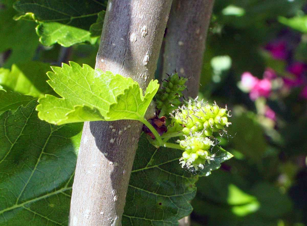 Judy Wise: This and That