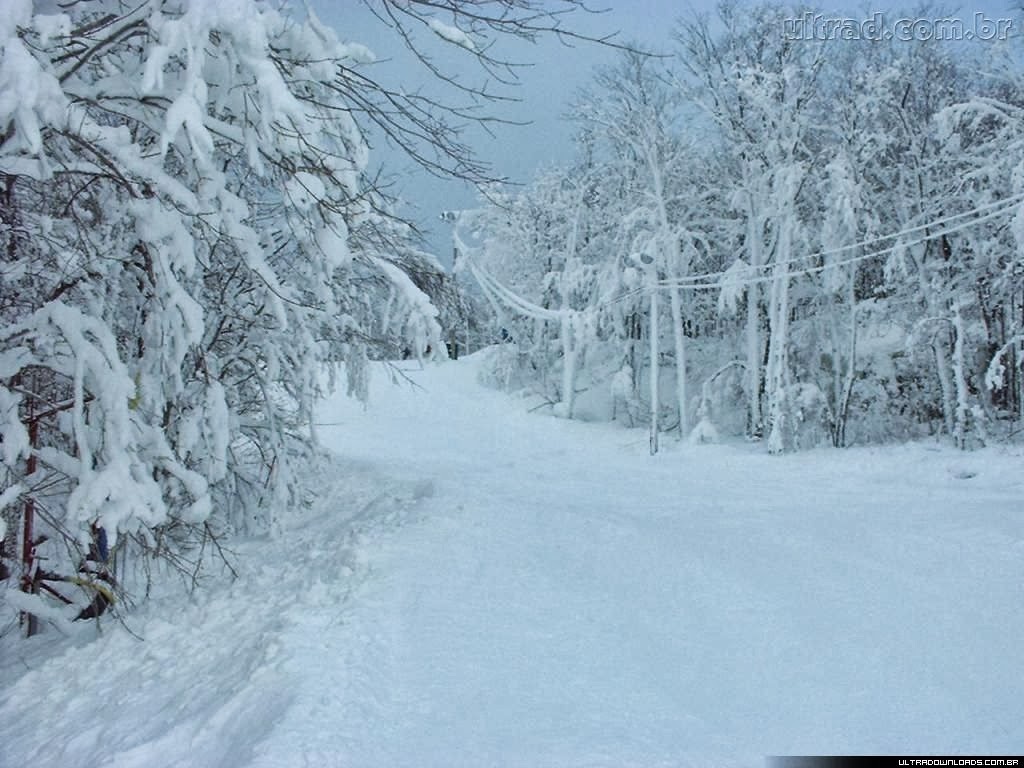 A Natureza Brilhando em cores ...: Nevasca