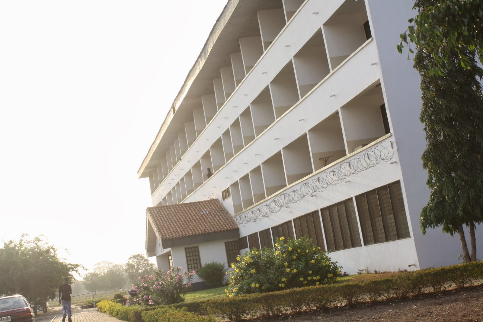 Life Of An African Immigrant: Have you ever wondered how a university ...