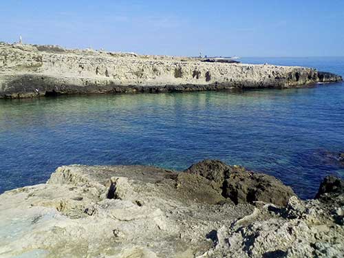 Escursioni costiera Monopoli Sud