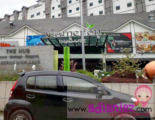 Cameron Square & Cameron Highlands Holiday's Park ~ Tarikan Terbaru ...
