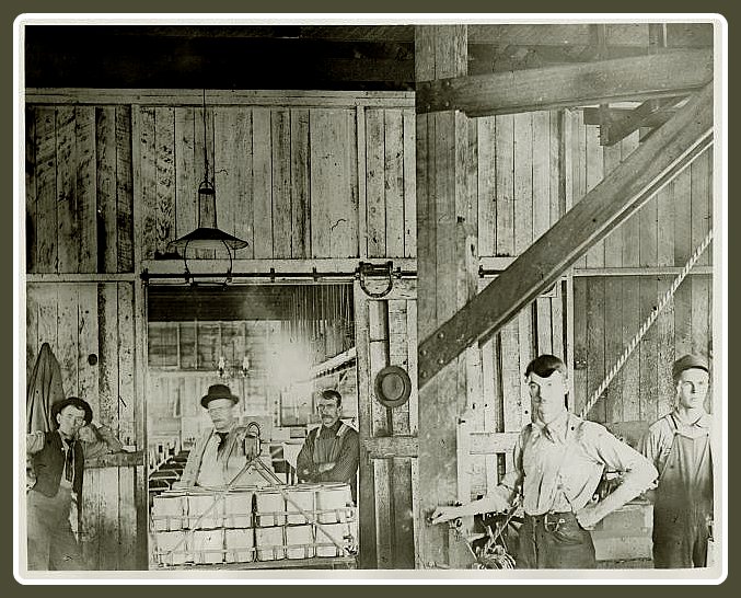 Rare Vintage Photos Show Everyday Life of California in the 1890s ...