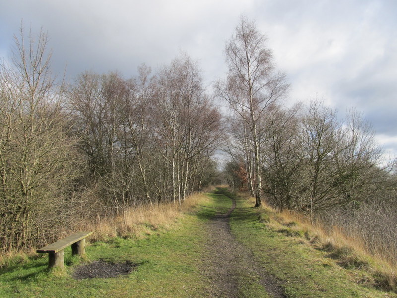 UK Wanderings: Pleasley Pit Country Park and Silverhill Wood