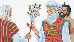 TEOLOGÍA DE MENOS A MAS: LA VARA DE AARON QUE REVERDECIO