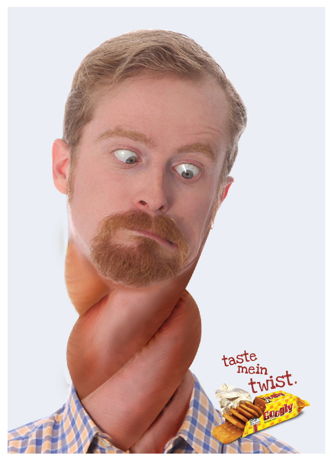 vipin's work: Bisk Farm Ad campaign