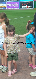 The Practical Mom Guide: 2011