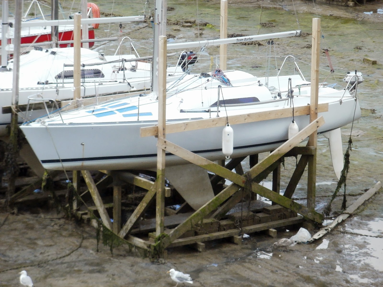 Shockwave40: Team Barber - Farr 727 - Quarter Ton IOR Yacht - Jersey 2013