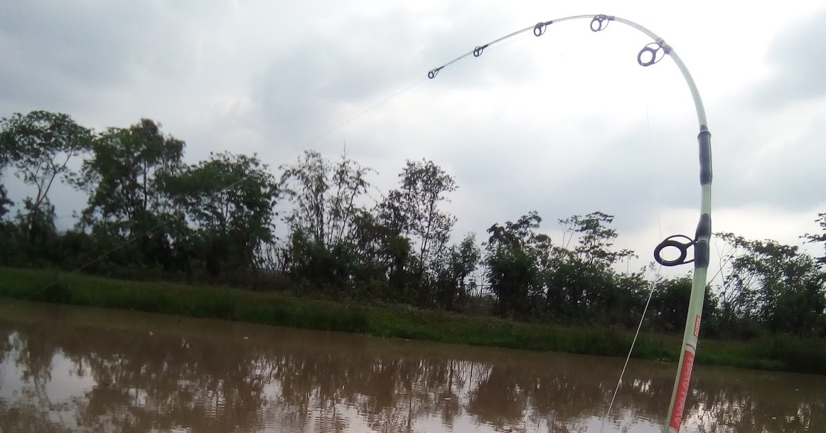Tips Mancing Ikan di Air Keruh