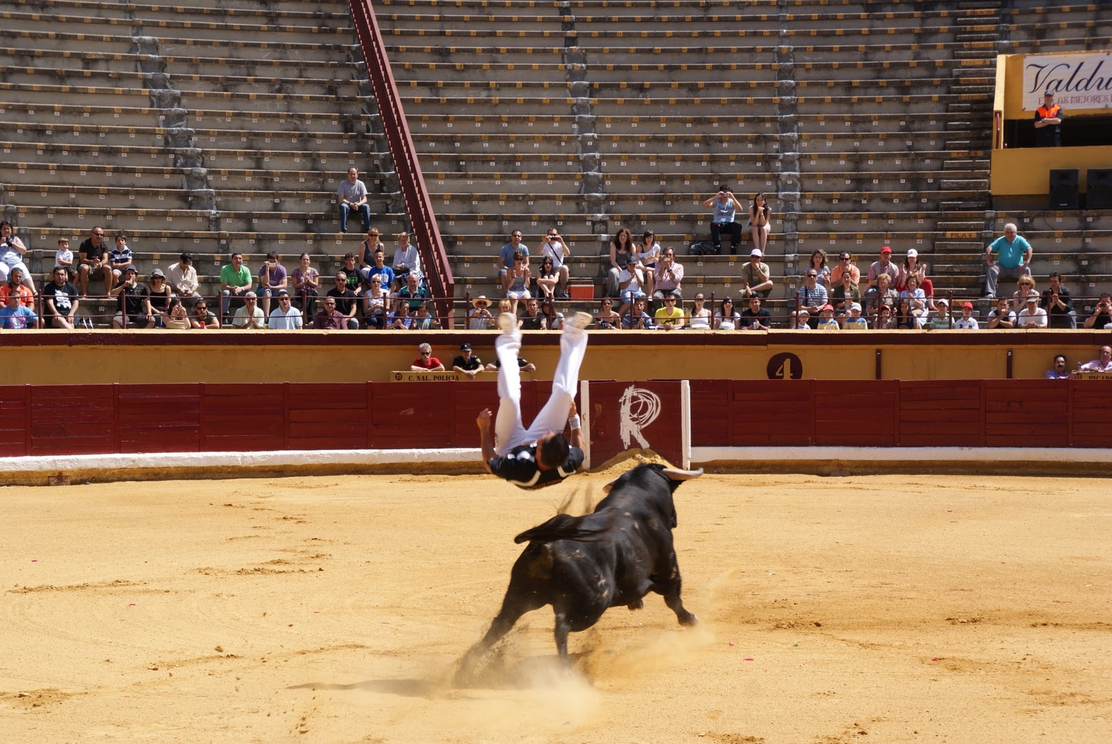 juan pablo villanueva el aguilucho: noviembre 2011