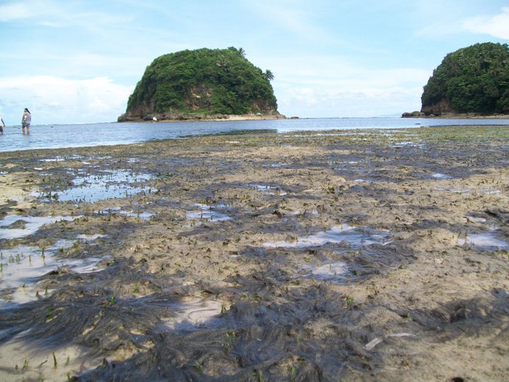 Ladawan.com: "Twin Rock Beach Resort" ~ Island of Catanduanes