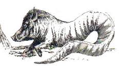 Mitología de Chiloé ~ NITRATO DE CHILE