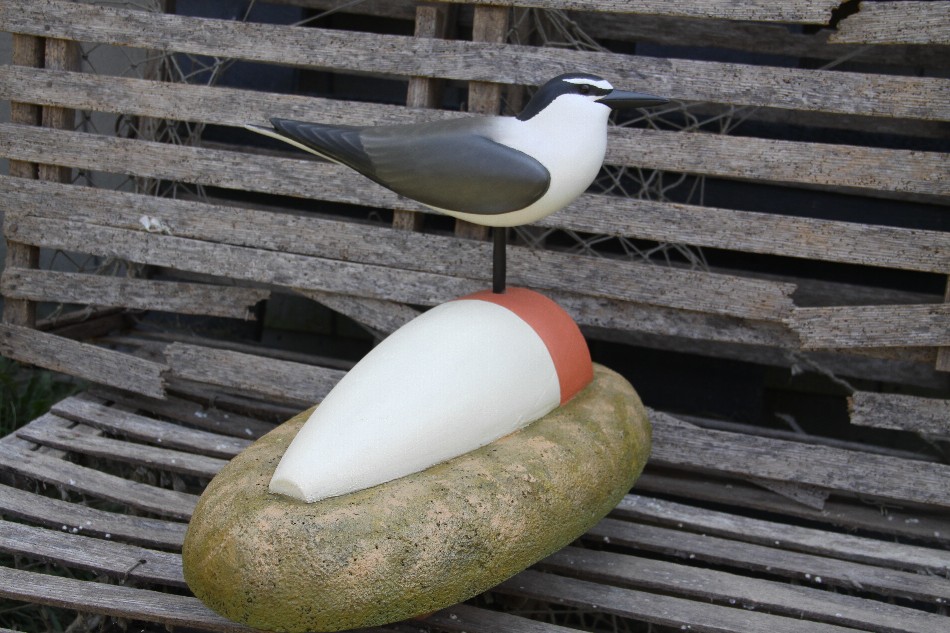 Keith Mueller Bird Carvings: Sea Bird Decoys 1 (Test)