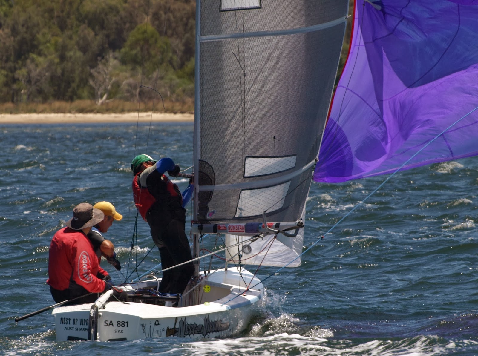 Observations in an undemocratic world: Race 7 - Australian Sharpie ...