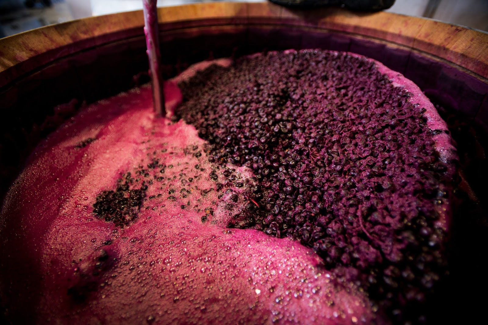 The Wine Write: Spotlight Wine: 2011 Epoch Block B Syrah