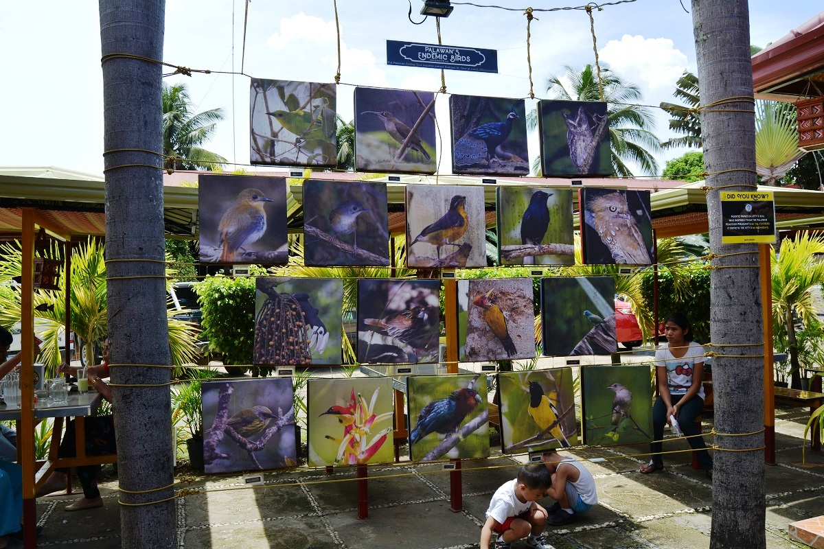 SASSY-FIED ENCOUNTERS: Paradiso Palawan: Haim Chicken Inato - Balay Inato