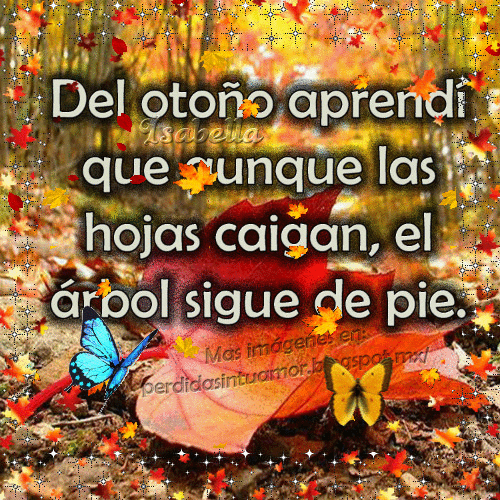 FRASES PARA TI: DEL OTOÑO APRENDI... VER MAS