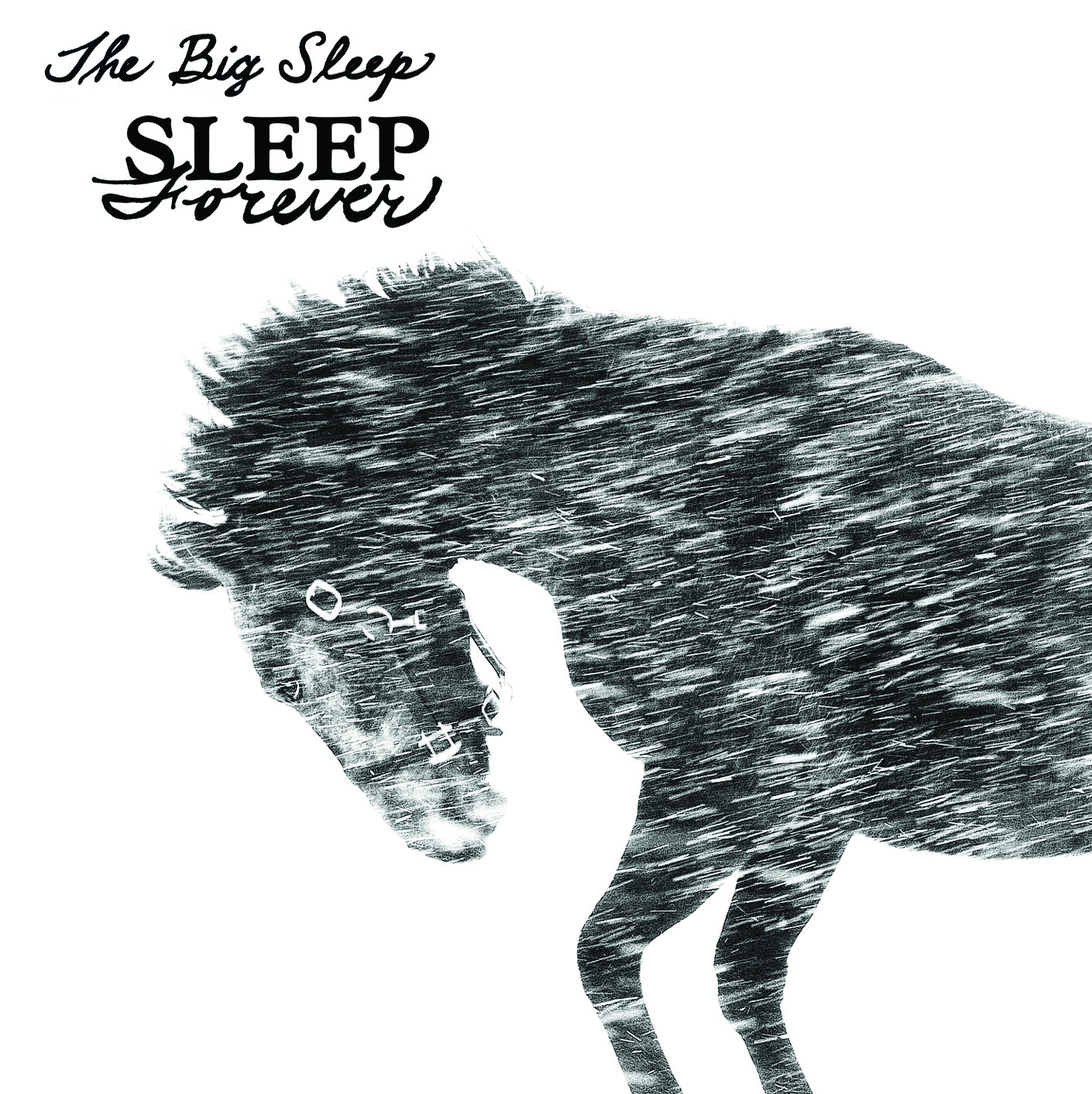 Sleep Forever With THE BIG SLEEP Full Art Bikini sleep-forever-with-the-big-sleep-full-art-bikini