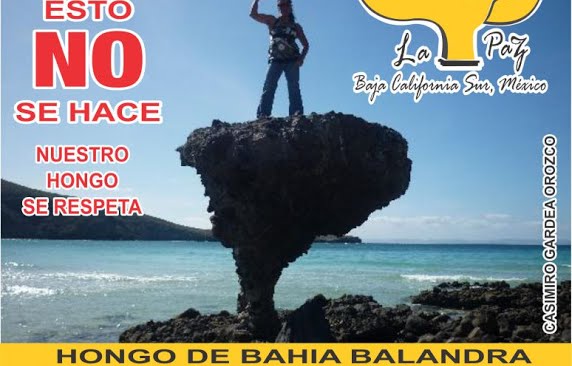 Recorridos turísticos : HISTORIA DEL HONGO DE BALANDRA