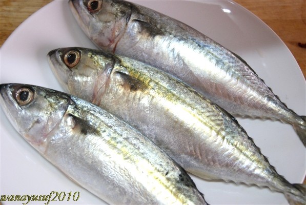 mimisyafinie's space :): antara ikan selayang,ikan lolong dan ikan ...