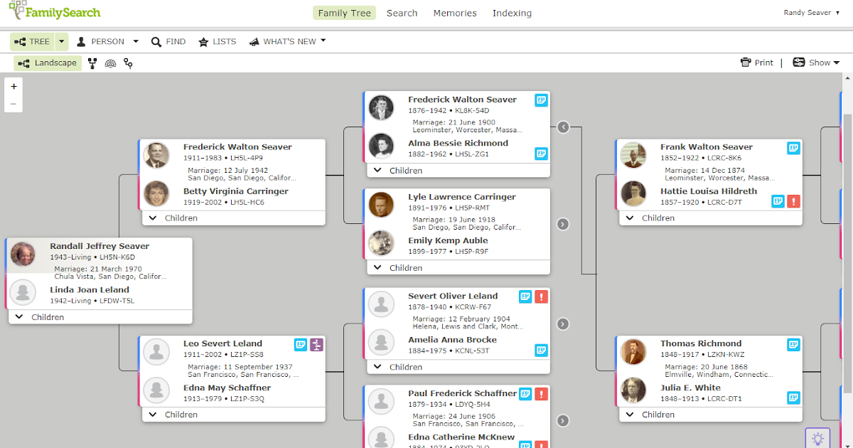 Genea-Musings: Dear Randy: How and Why Do You Use the FamilySearch Family Tree?
