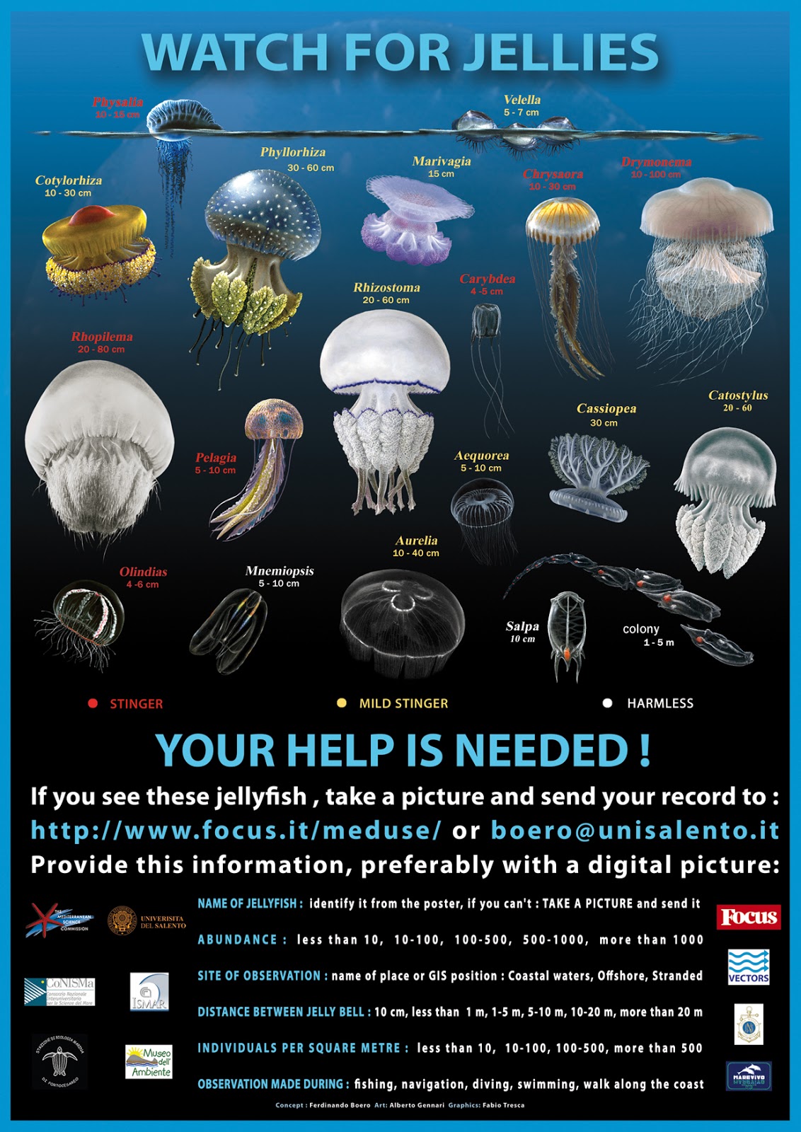 The art of Alberto Gennari: Jellyfish posters